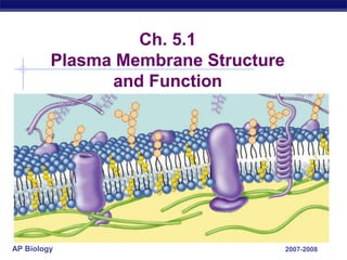 cell membrane structure and function 2014.ppt