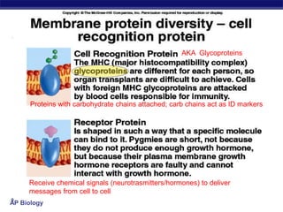cell membrane structure and function 2014.ppt