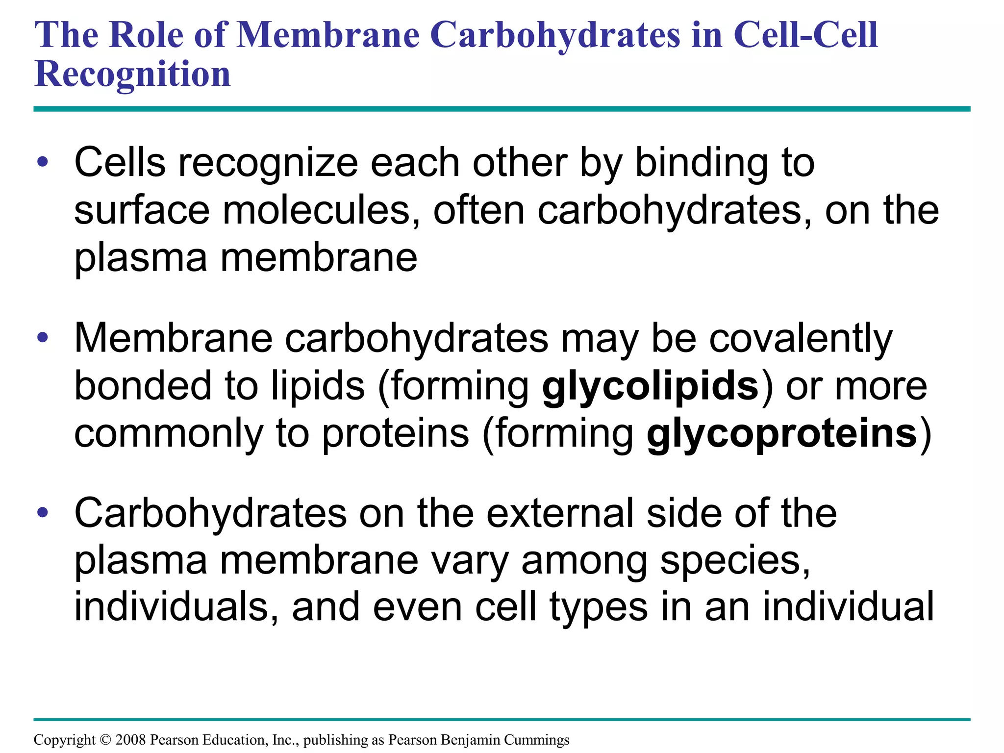 Cell membrane structure an function.pptx