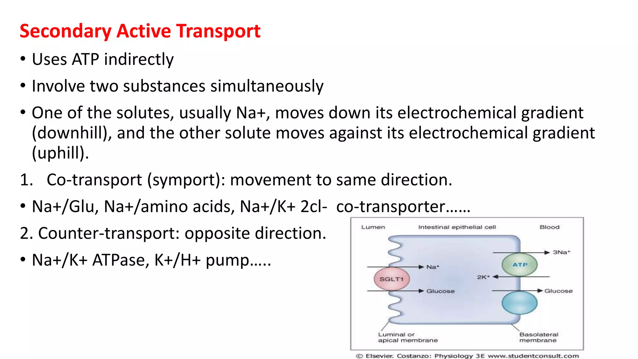 Cell membrane structure, function and transport mechanisms | PPT