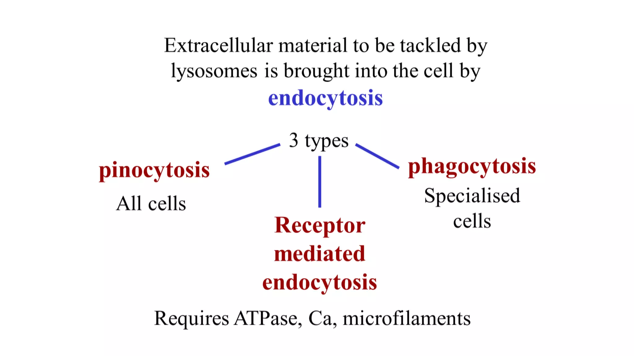 Cell membrane structure, function and transport mechanisms | PPT