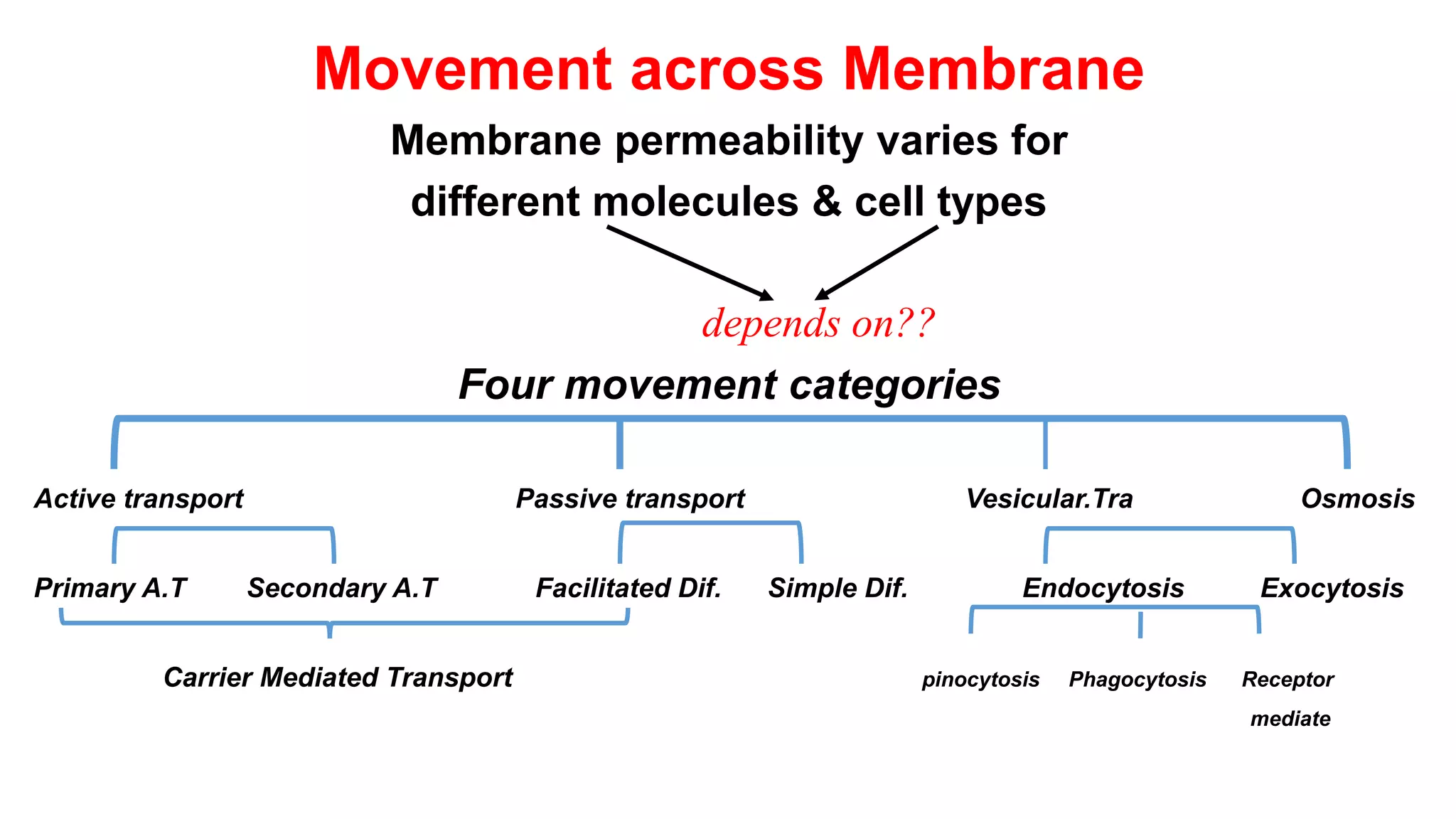 Cell membrane structure, function and transport mechanisms | PPT