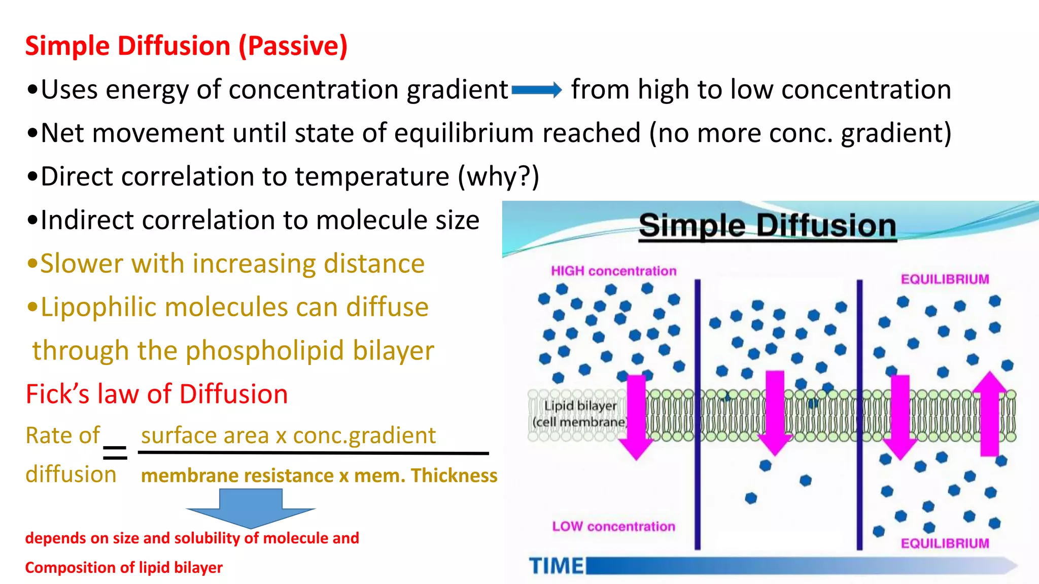 Cell membrane structure, function and transport mechanisms | PPT