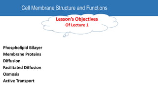 Cell membrane structure, function and transport mechanisms | PPT