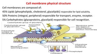 Cell membrane structure, function and transport mechanisms | PPT