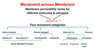 Cell membrane structure, function and transport mechanisms | PPT