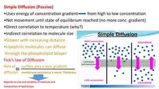 Cell membrane structure, function and transport mechanisms | PPT