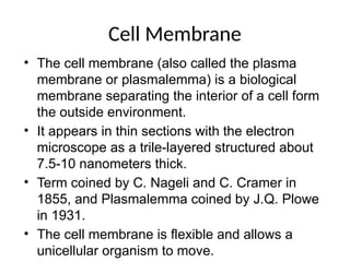 Cell Membranes noteUnit ! 6 Aug 2024.pptx