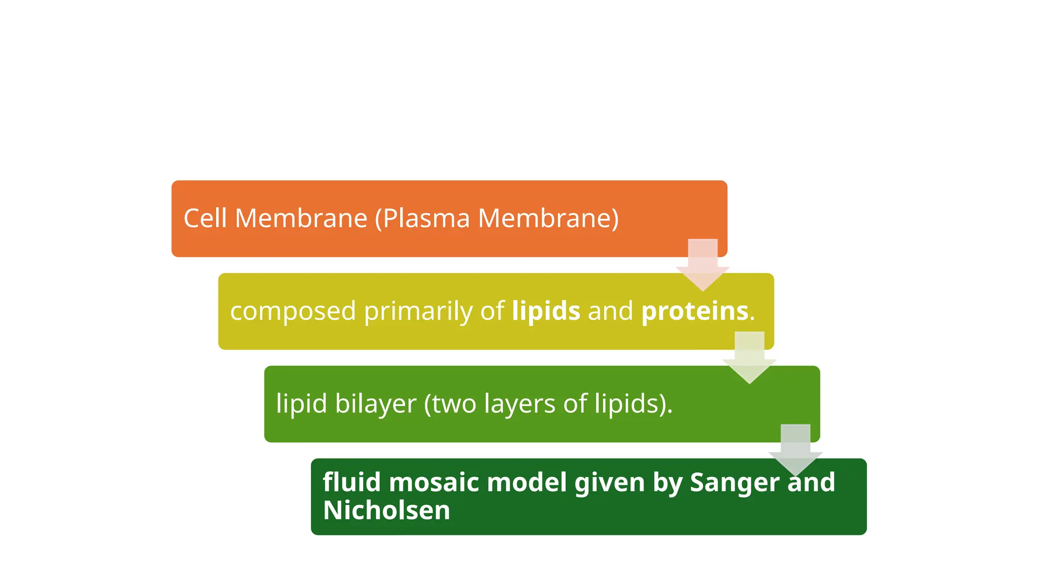 cell membrane topic structure and biomedical usess.pptx