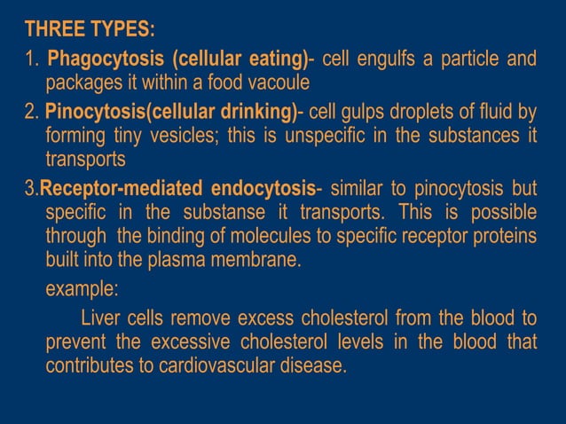 Cell membrane transport | PPT