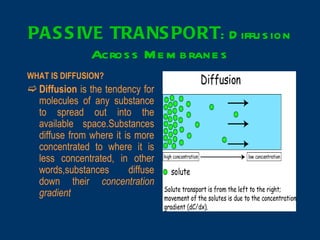 Cell membrane transport | PPT