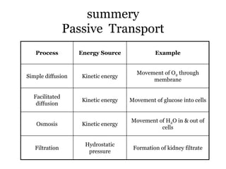 Active And Passive Transport Examples