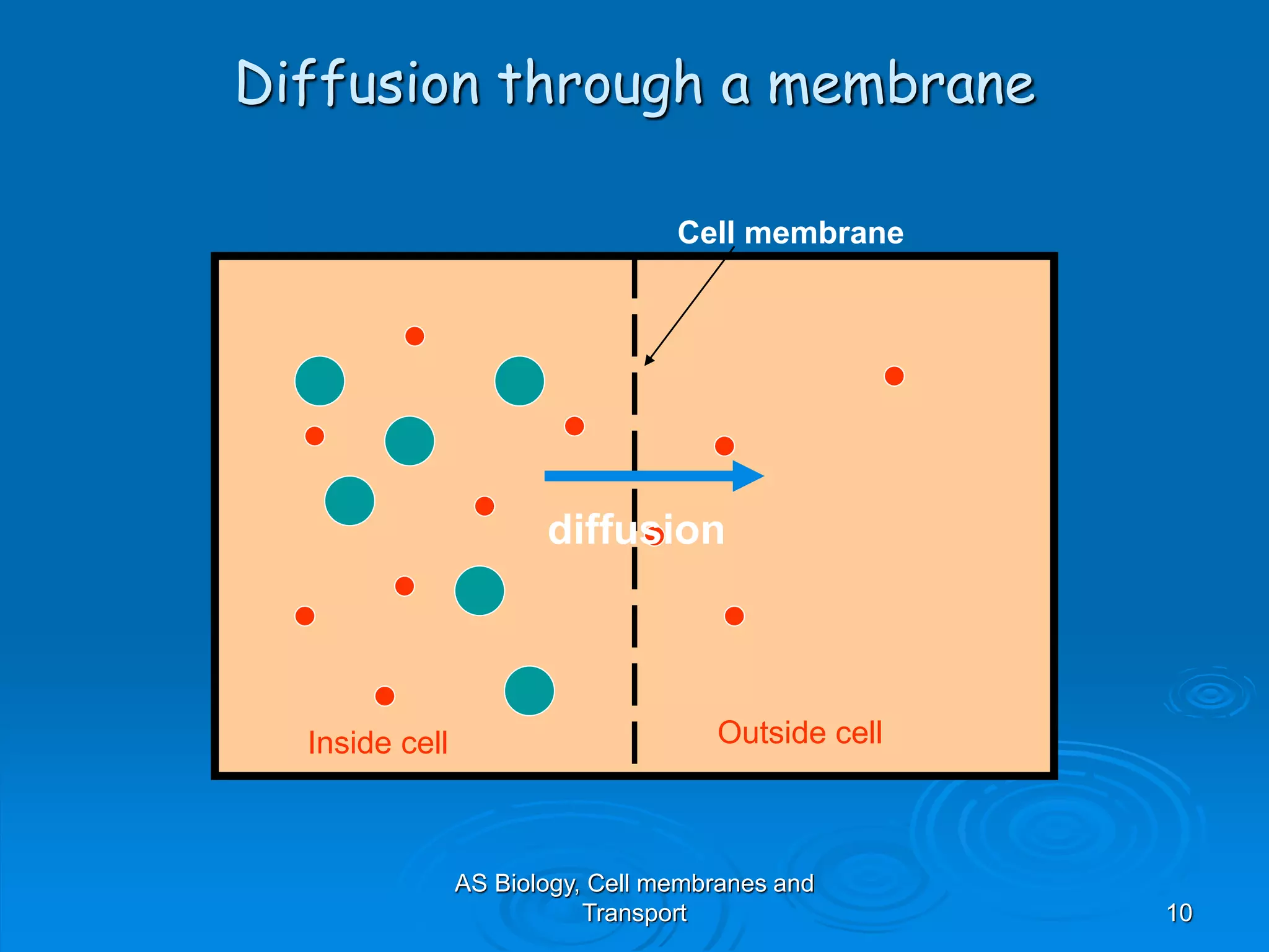 Cell_Membrane_Transport.ppt