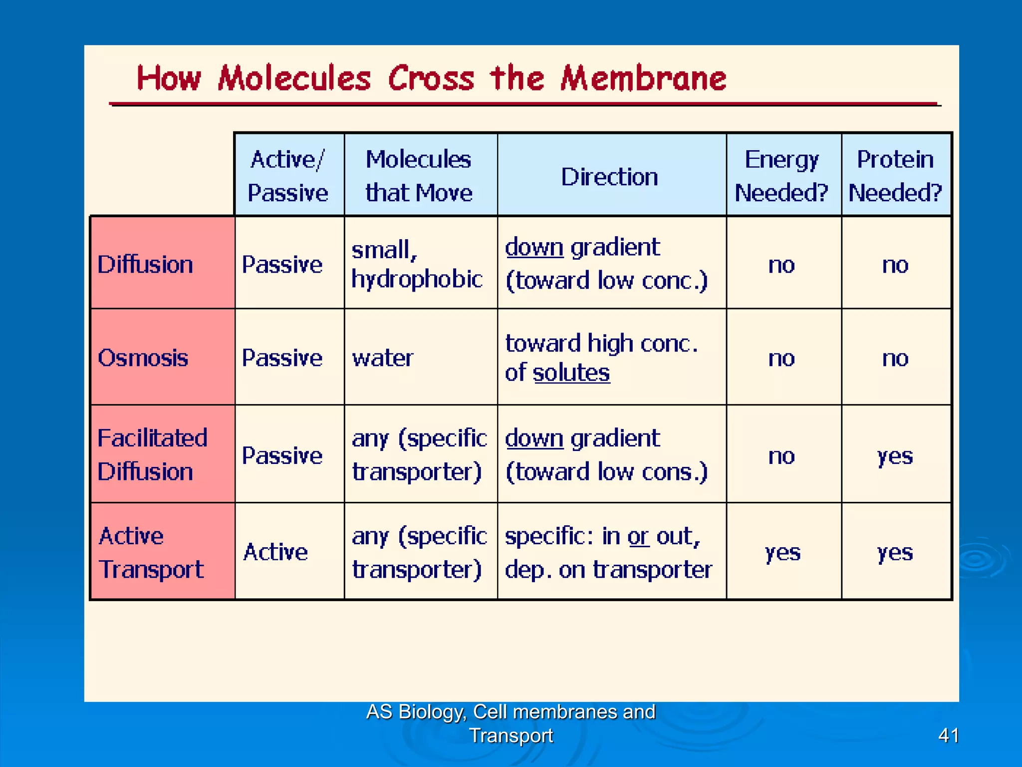 Cell_Membrane_Transport.ppt