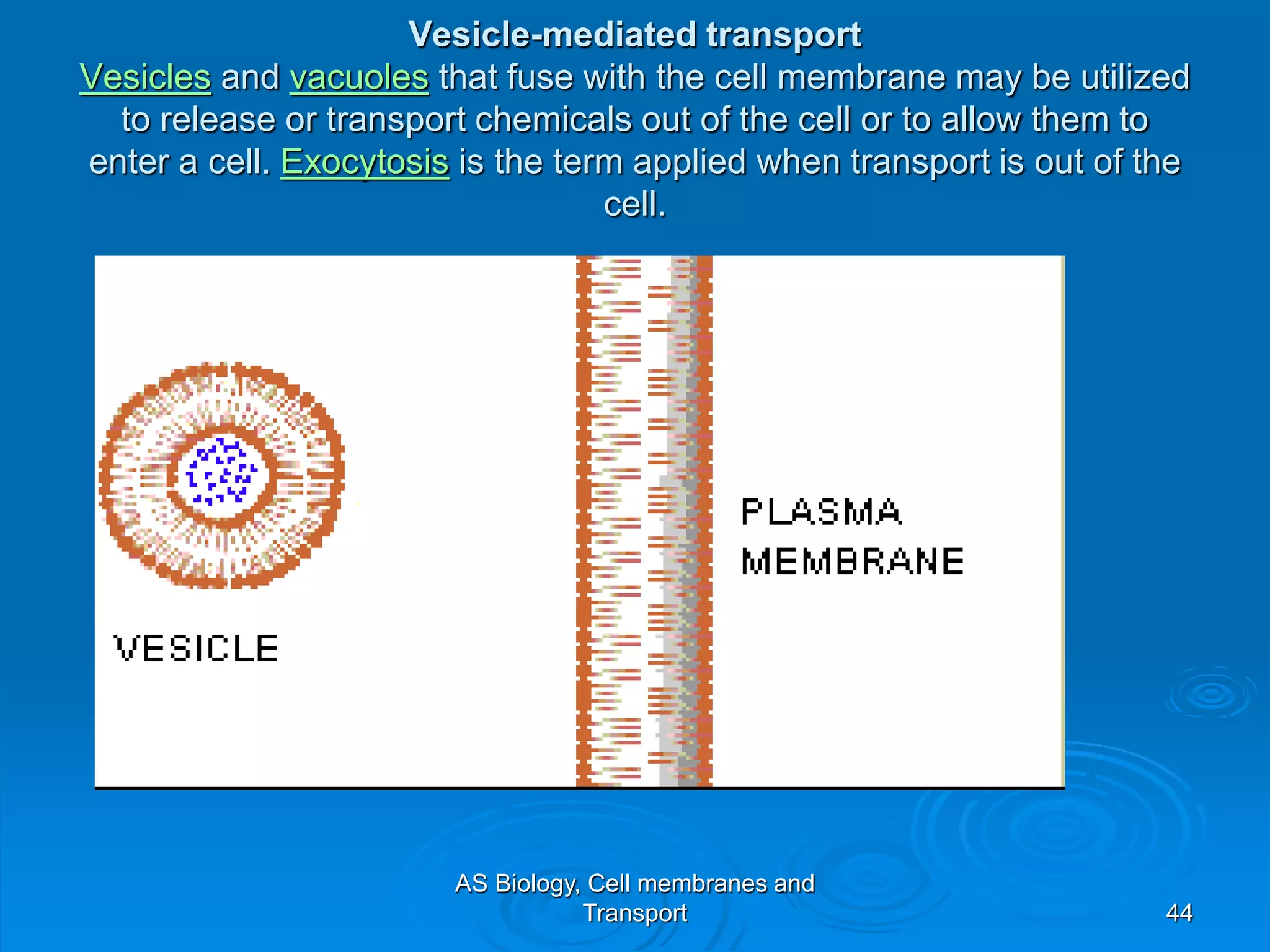 Cell_Membrane_Transport.ppt