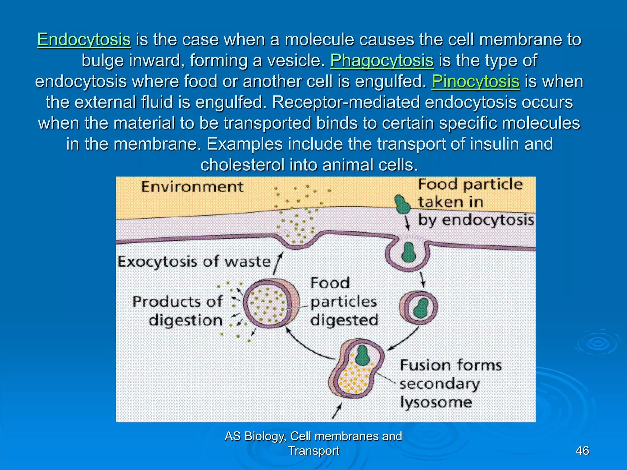 Cell_Membrane_Transport.ppt