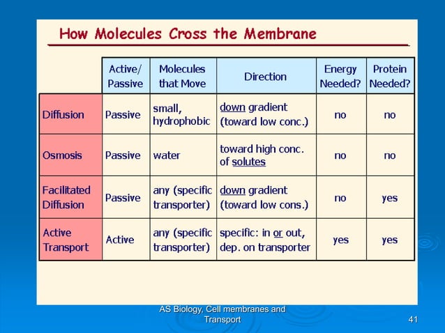 Cell_Membrane_Transport.ppt