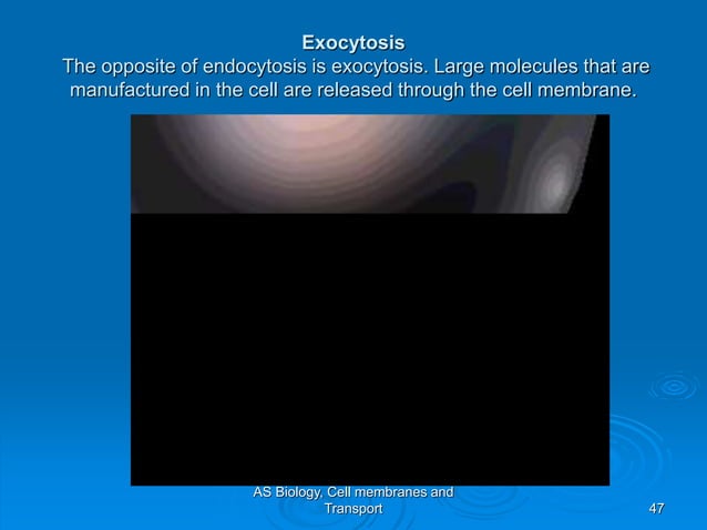 Cell_Membrane_Transport.ppt