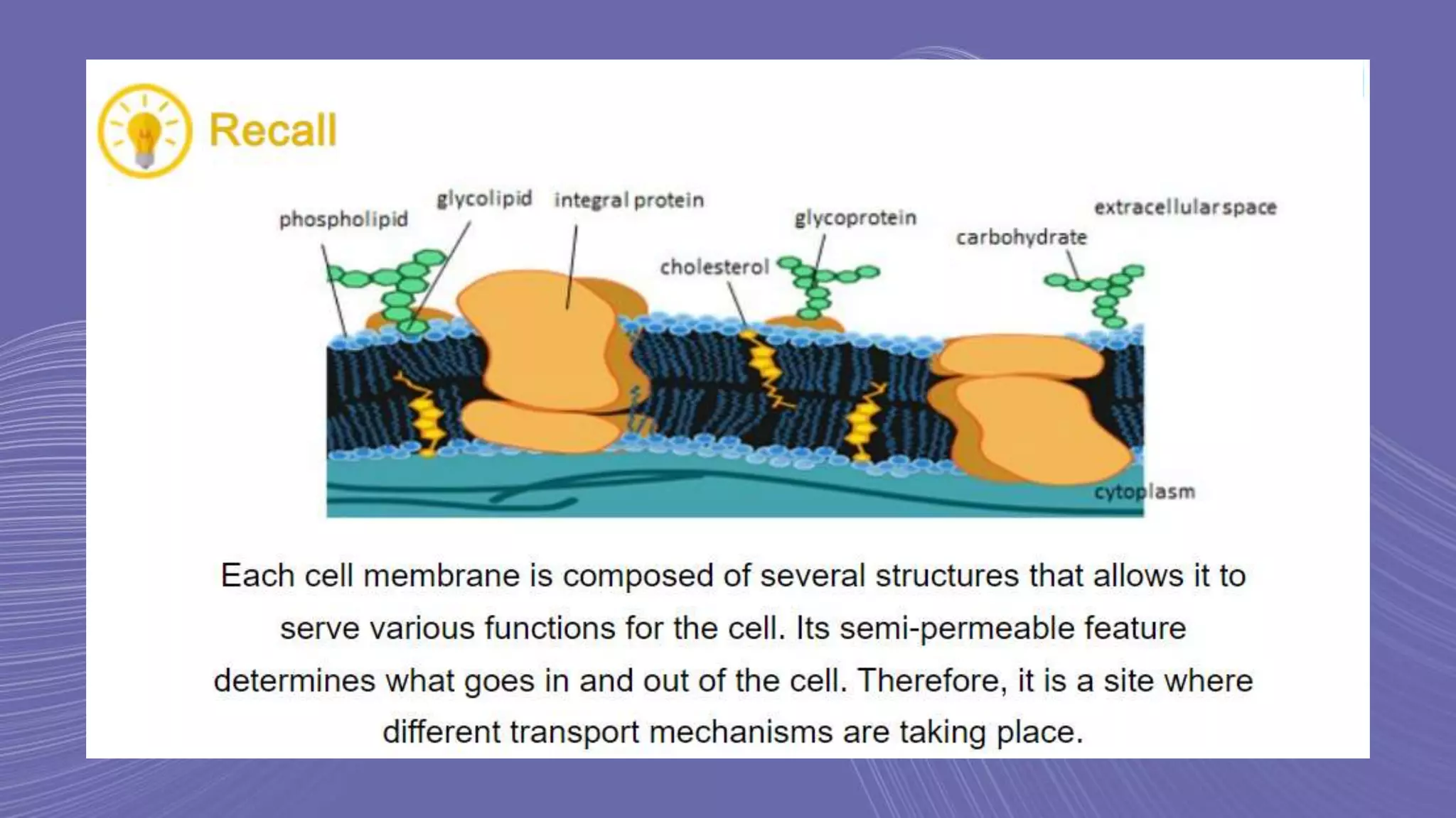 Cell Membrane Transport.pptx