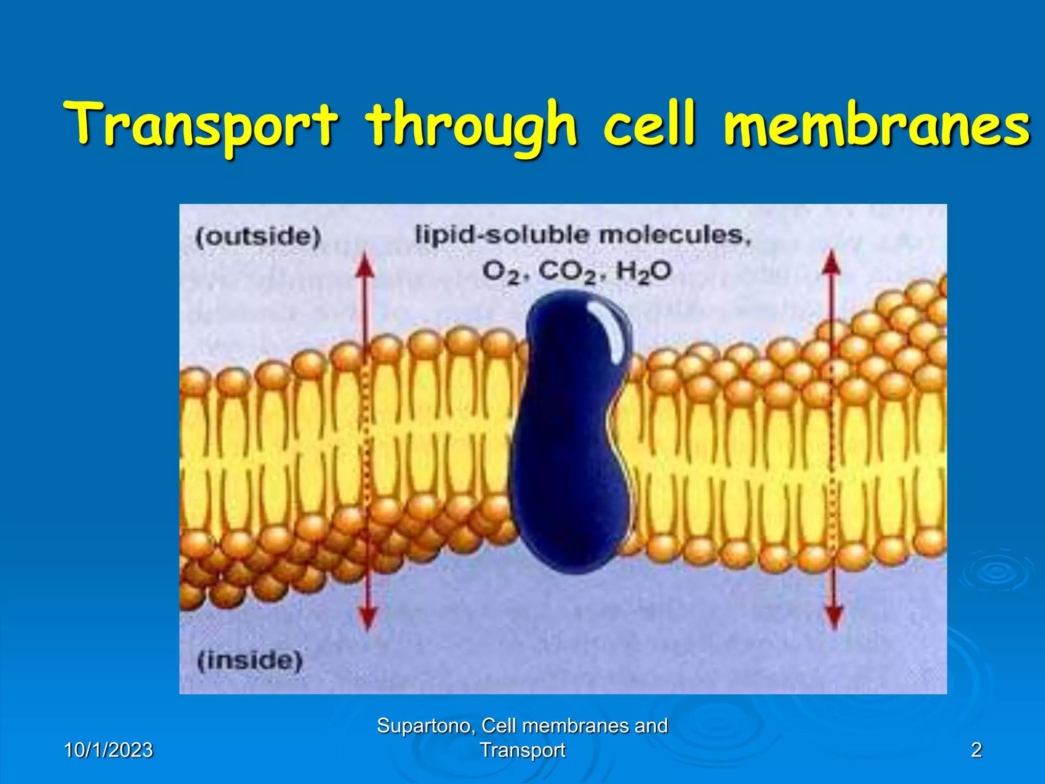cell membrane transport.ppt