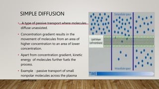 Cell Membrane Transport.pptx | Biological Sciences | Science