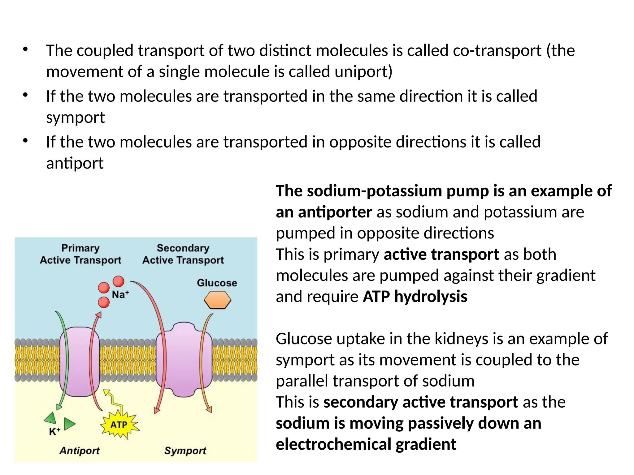 Cell membrane (Transport and structure).pptx