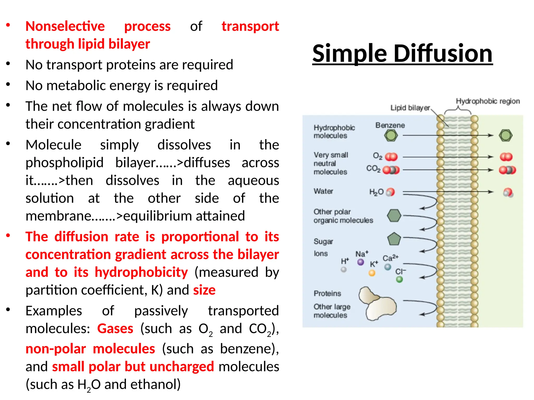 Cell membrane (Transport and structure).pptx