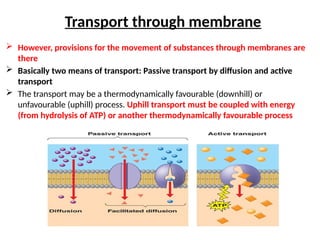 Cell membrane (Transport and structure).pptx