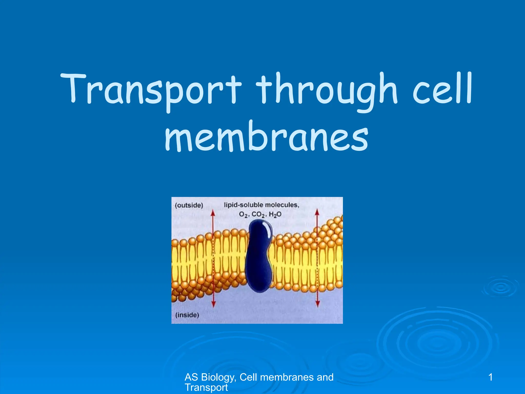 cell membrane anatomy and physiology.pptx