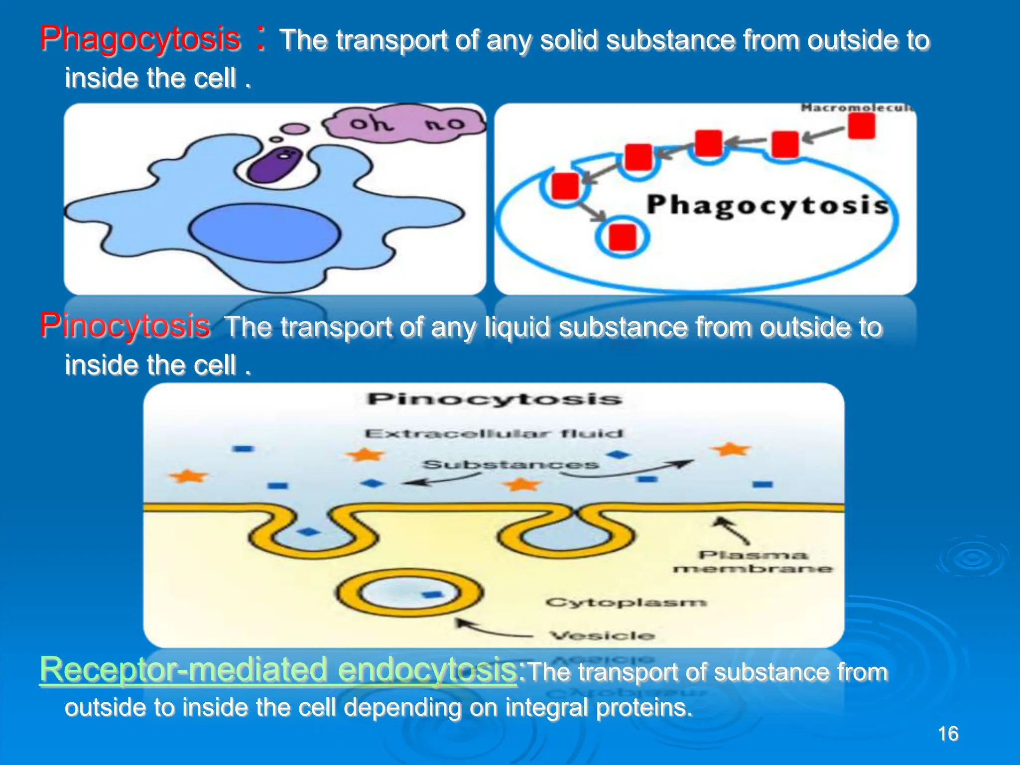 cellmembranetransport2-160325130001.pptx