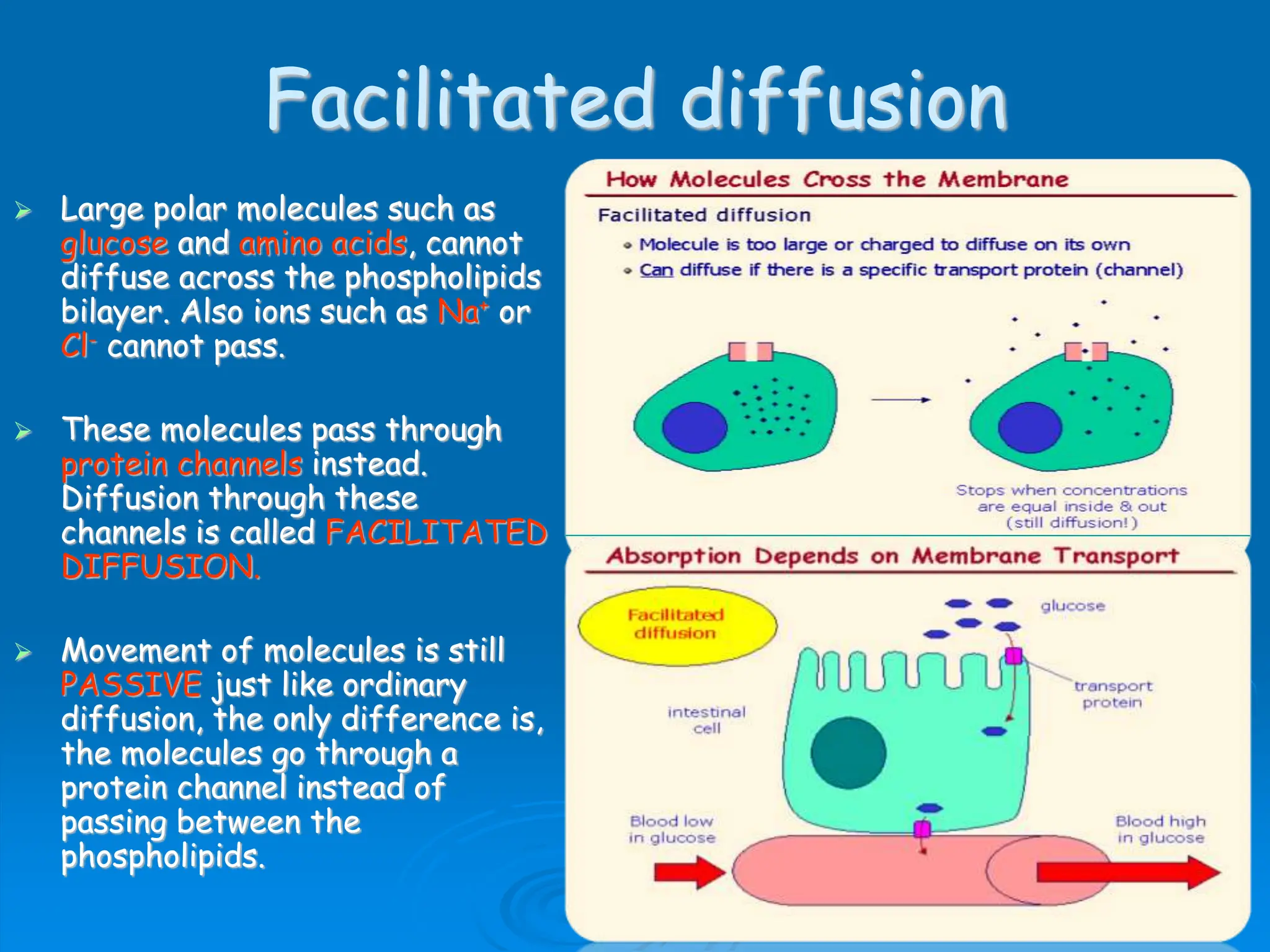 cellmembranetransport2-160325130001.pptx