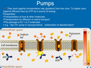 cellmembranetransport2-160325130001.pptx