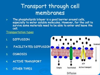 cellmembranetransport2-160325130001.pptx