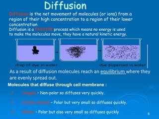 cellmembranetransport2-160325130001.pptx
