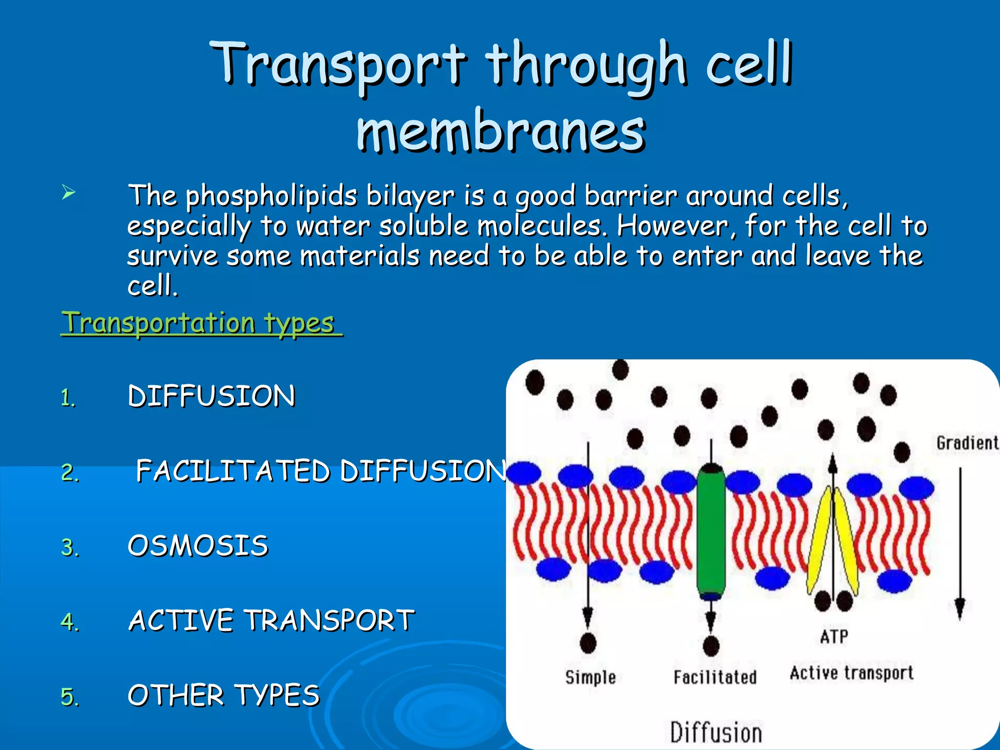 Transportation through cell membrane. | PPT