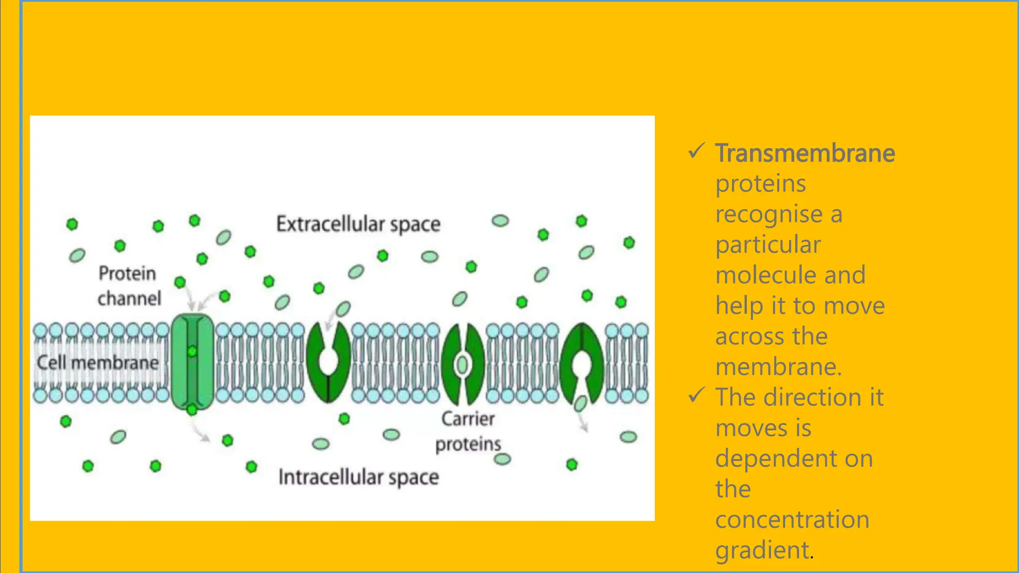 cell membrane transport mechanisms and related disorders ppt..pptx | Biological Sciences | Science