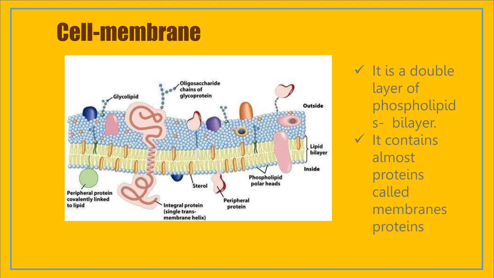 cell membrane transport mechanisms and related disorders ppt..pptx