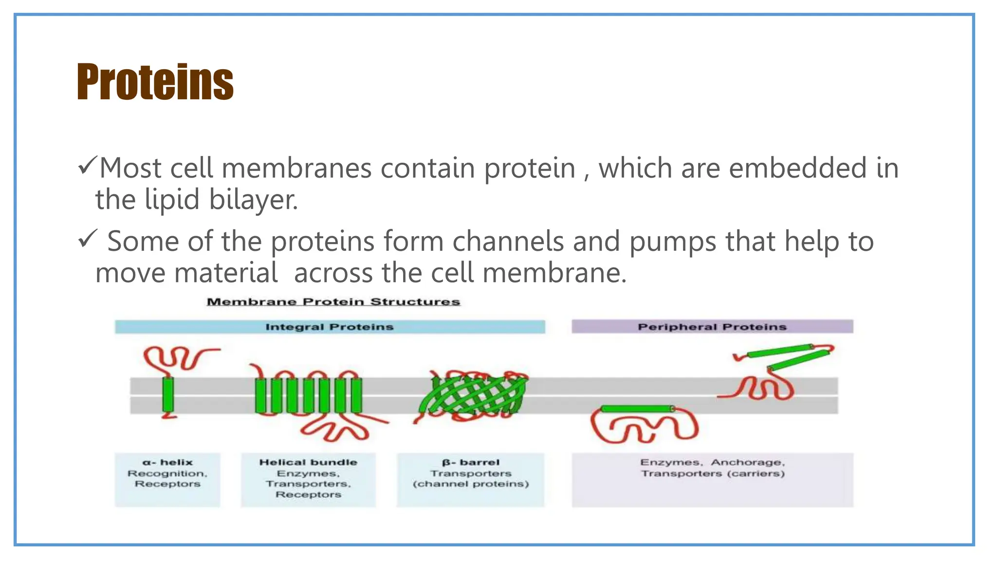 cell membrane transport mechanisms and related disorders ppt..pptx