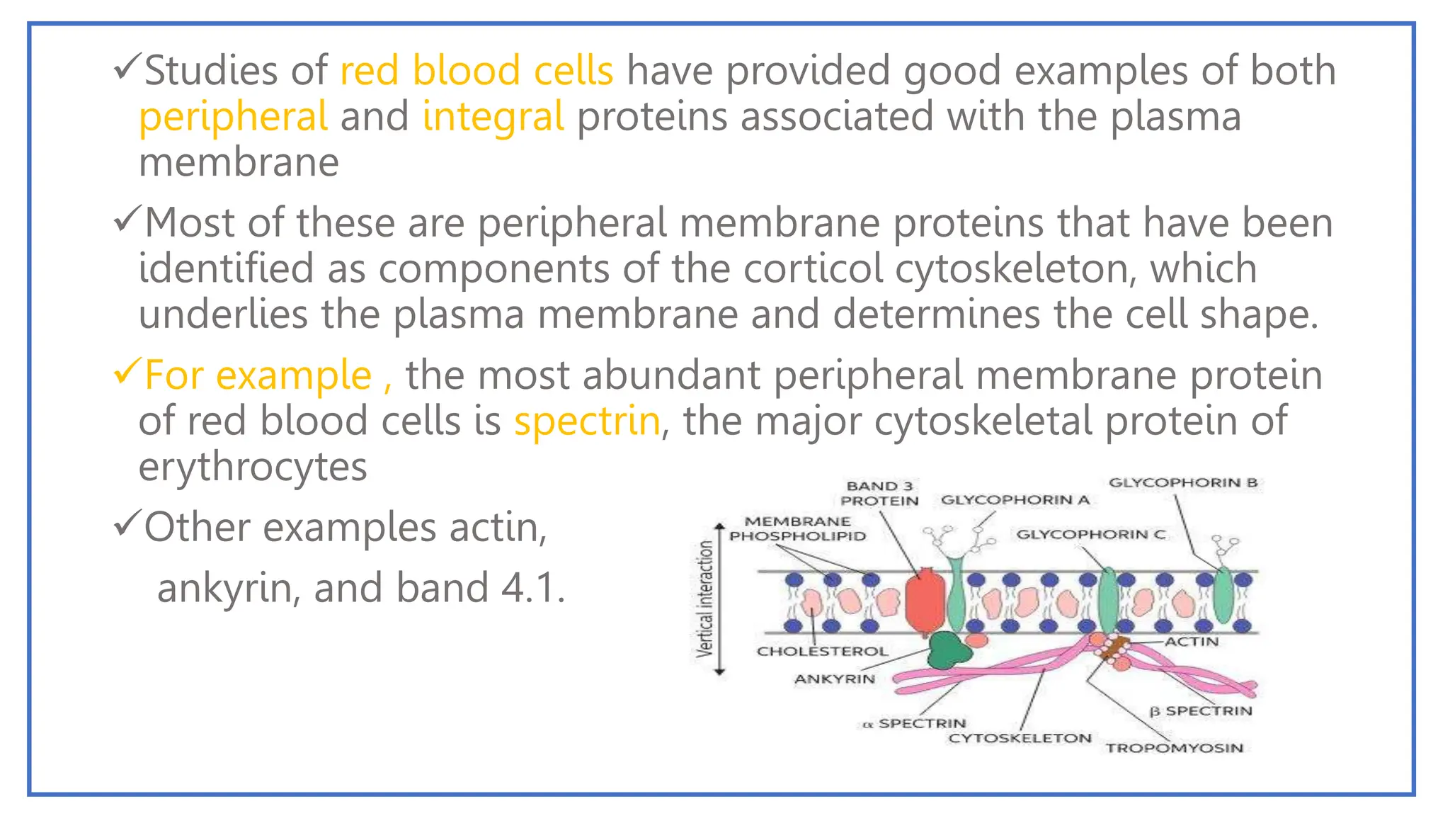 cell membrane transport mechanisms and related disorders ppt..pptx