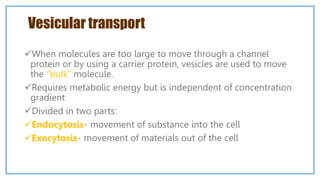 cell membrane transport mechanisms and related disorders ppt..pptx