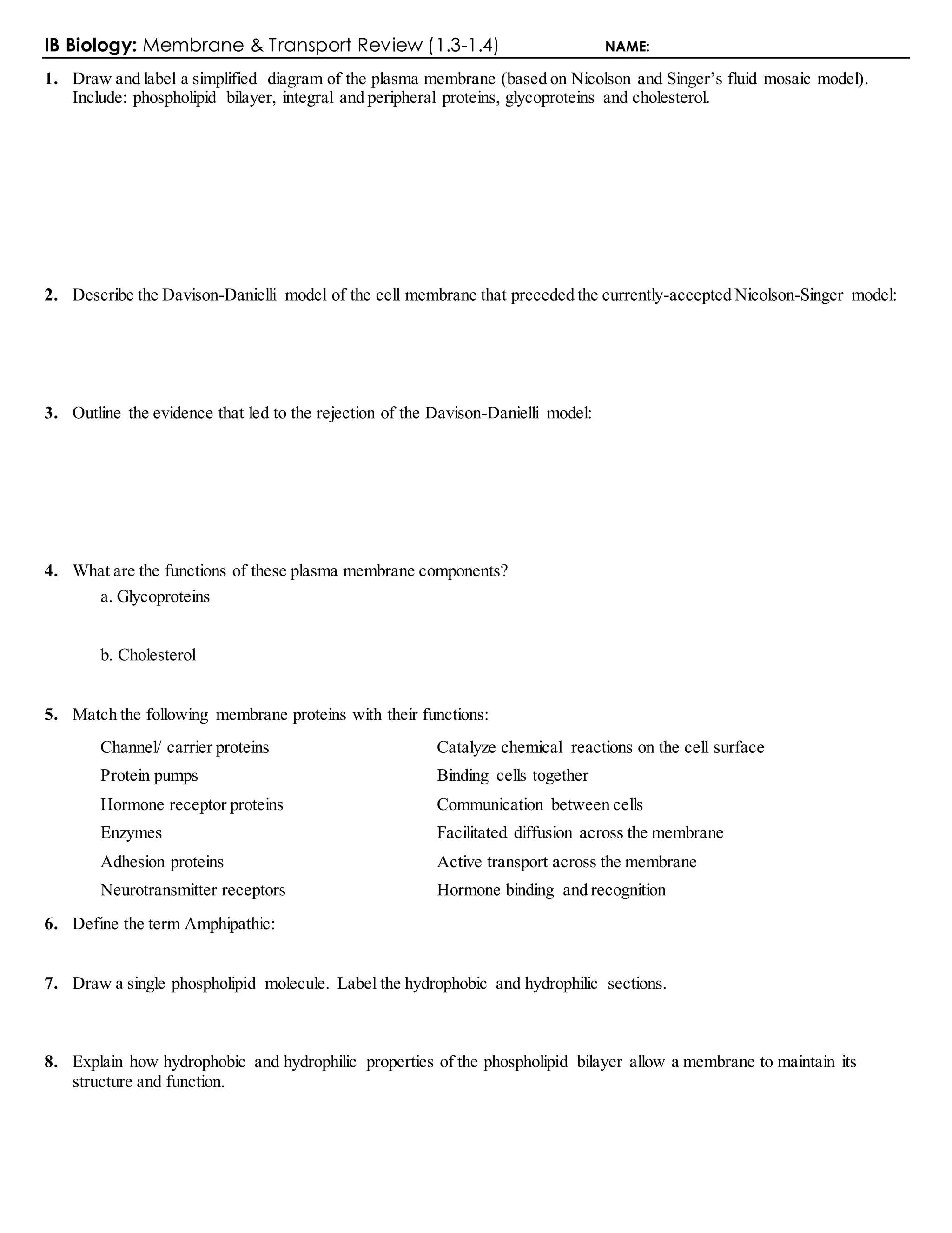 IB Cell Membrane & Transport Review (1.3-1.4) | PDF
