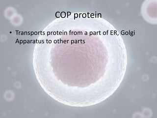 Cell membrane vesicle transportation | PPTX