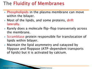 Cell mem ppt | PPT
