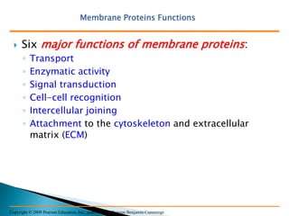 Cell mem ppt | PPT