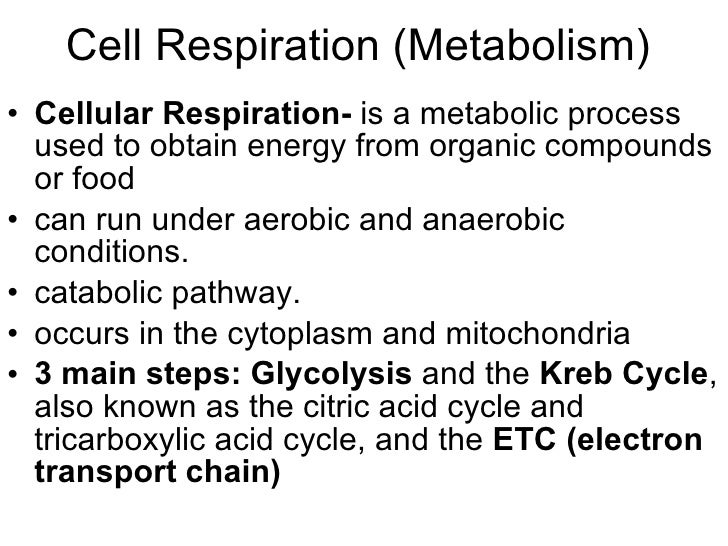 Cell metabolism