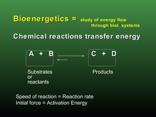 Electron Transport Chain | PPT