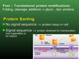 Cell Metabolism Part 2 | PPT