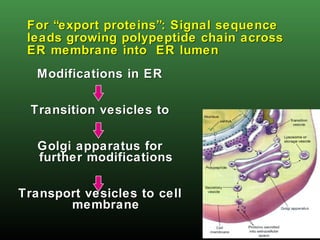 Enzymes | PPT