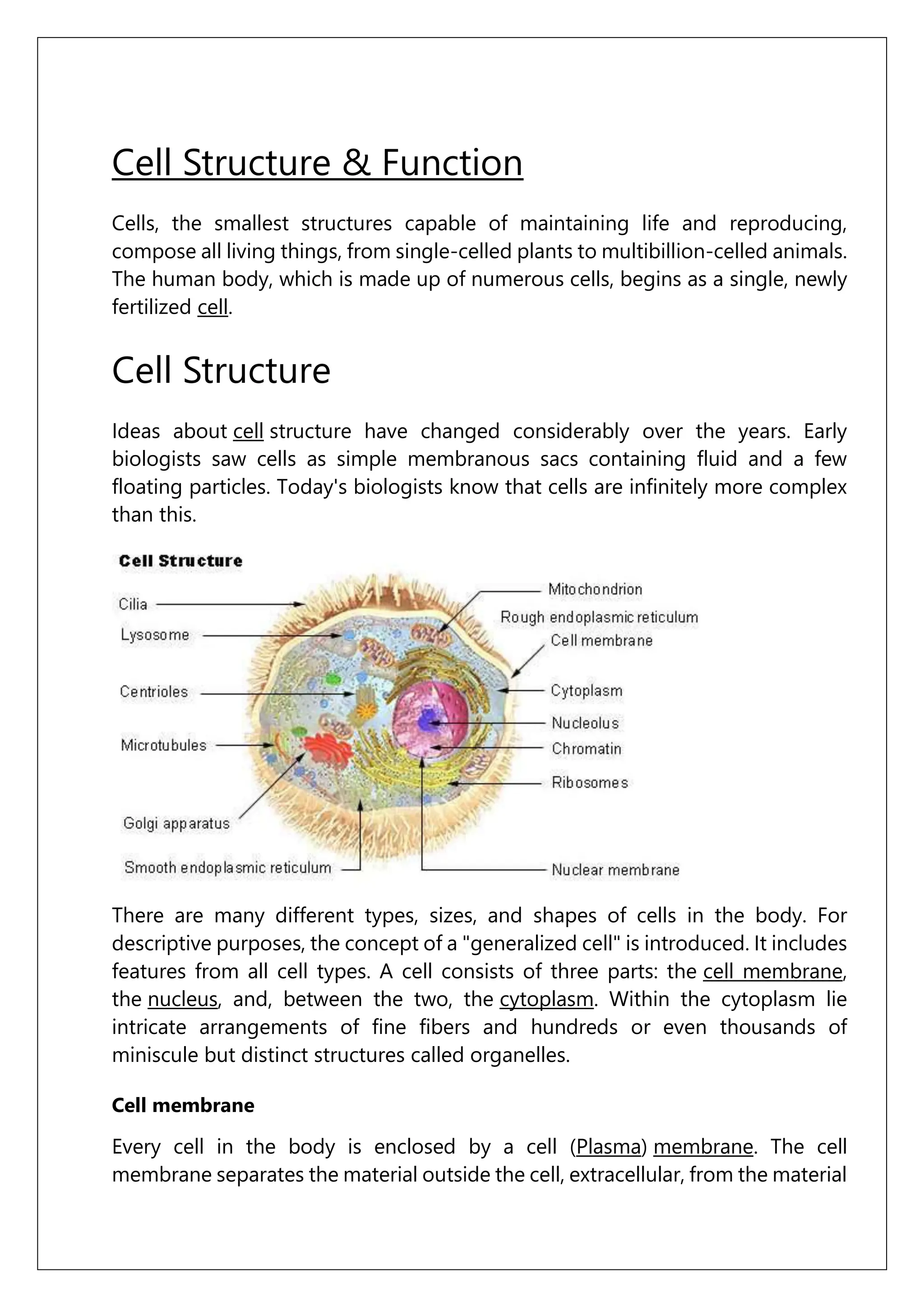 CELL MICROBIOLOGY AND MICROSCOPE TYPES | DOCX | Biological Sciences ...