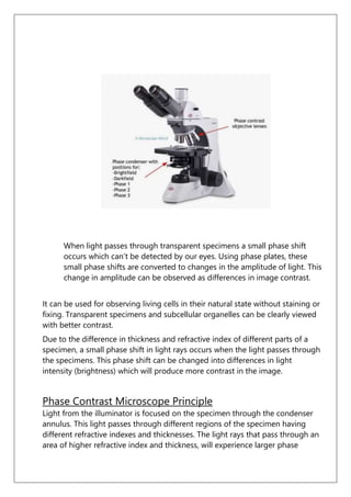 CELL MICROBIOLOGY AND MICROSCOPE TYPES | DOCX | Biological Sciences ...